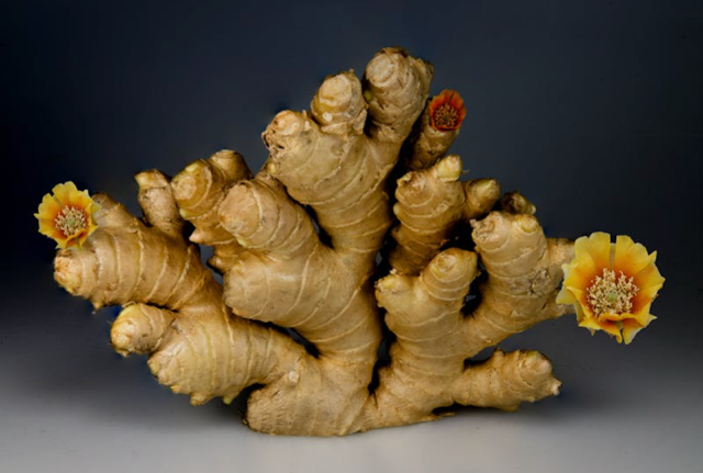 Ginger - its origin and variety of uses